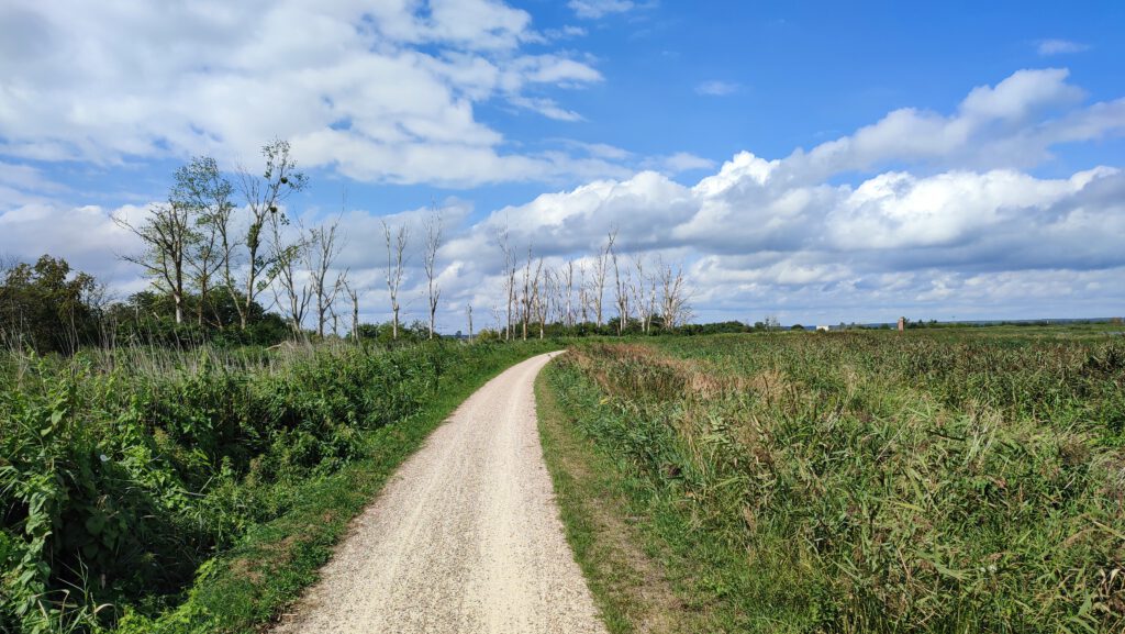 Berlin–Usedom Radweg: Von Berlin ans Meer radeln.